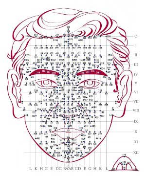 DCZ Facial Reflexology - Al Campbell MAR Reflexology