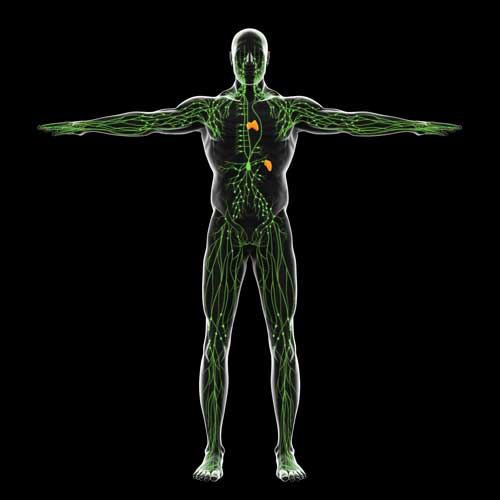 RLD - Reflexology Lymphatic Drainage - Al Campbell MAR Reflexology